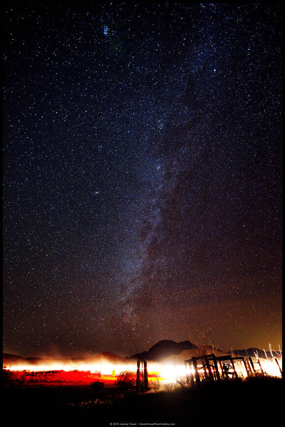 Late night visitors @ GreenHousePhotoGallery